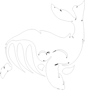 Gym Supplements and Whey Protein Powder | South Supplements